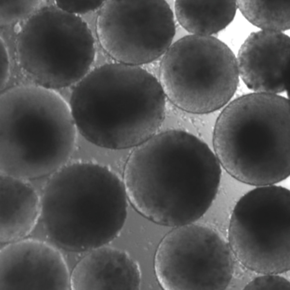 Cell Spinpod 3D浮遊培養容器 (CELL SPINPOD) スターターキット7032 1セット (ご注文単位1セット) 【直送品 ...