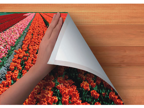 3M スコッチ はがせる両面テープ 超透明 厚手15mm*4m SRT-15 1巻（ご注文単位1巻)【直送品】 包装用品・店舗用品の通販 シモジマ