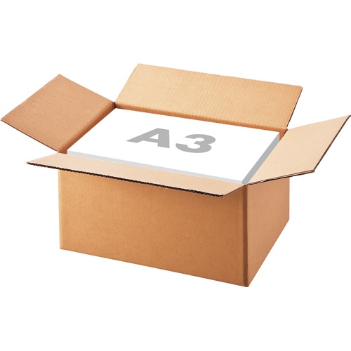 TANOSEE 無地ダンボール箱 A3判対応 軽量 Aフルート 高さ250mm 10枚/袋（ご注文単位1袋）【直送品】 包装用品・店舗用品の通販 シモジマ