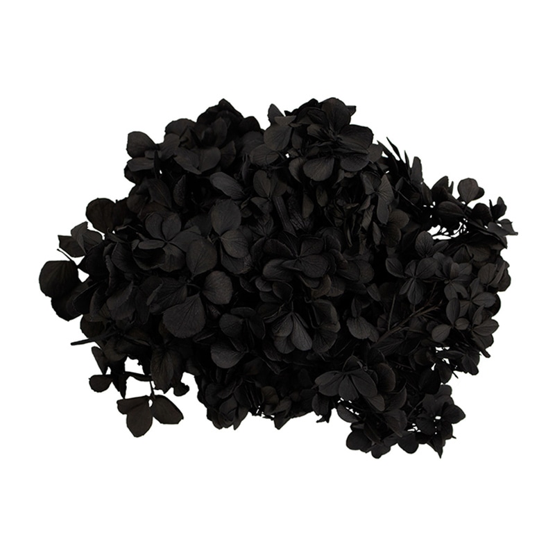 モノ・インターナショナル MONO プリザーブドフラワー GPアトランティス アジサイ ブラック GPT-21 1箱（ご注文単位1箱）【直送品】 包装用品・店舗用品の通販 シモジマ