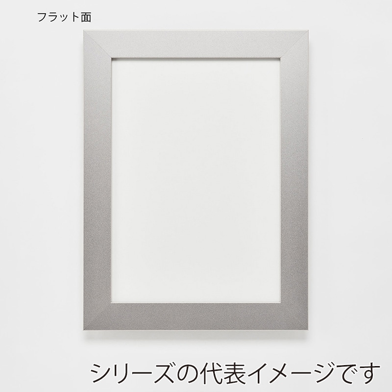 アルナ デッサン額 DUO B2 728×515mm マットシルバーフレーム 1個（ご注文単位1個）【直送品】 包装用品・店舗用品の通販 シモジマ