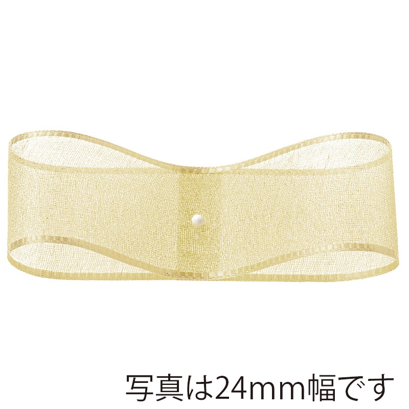 東京リボン リボン オーガンジー・H 47700 12×30 #24 1個（ご注文単位1個）【直送品】 包装用品・店舗用品の通販 シモジマ