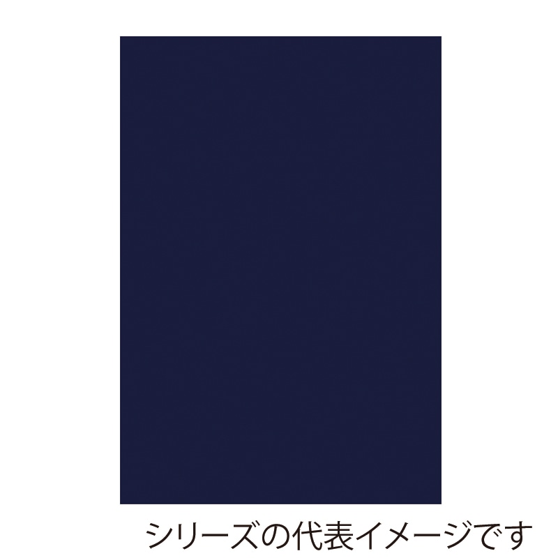 ジャパンアート ボード カラーポップコーア 5mm厚 B2 ダークブルー 5PC-B2-DB 1枚（ご注文単位1枚）【直送品】 包装用品・店舗用品の通販 シモジマ