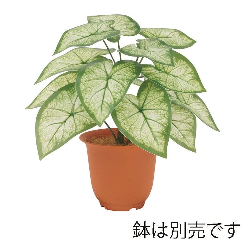 ドガ ウォータープルーフ ベゴニアブッシュ ビニールコーティング LEB-8349 1本（ご注文単位1本）【直送品】 包装用品・店舗用品の通販 シモジマ