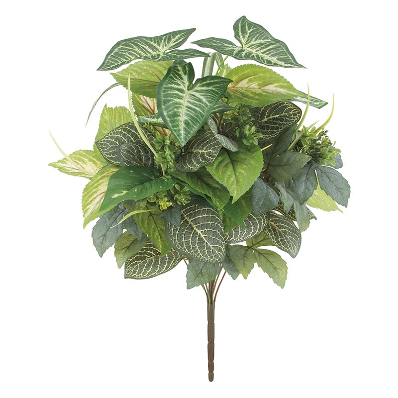 ドガ フィトニア／コレウスアソートブッシュ LEB-8352 1本（ご注文単位1本）【直送品】 包装用品・店舗用品の通販 シモジマ